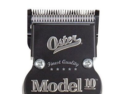 Oster Model 10 Review: An overview