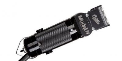 Oster Model 10 Review: An overview